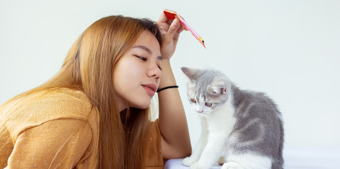 Paws & Romance: Why Dating a Woman with Cats Is Smart